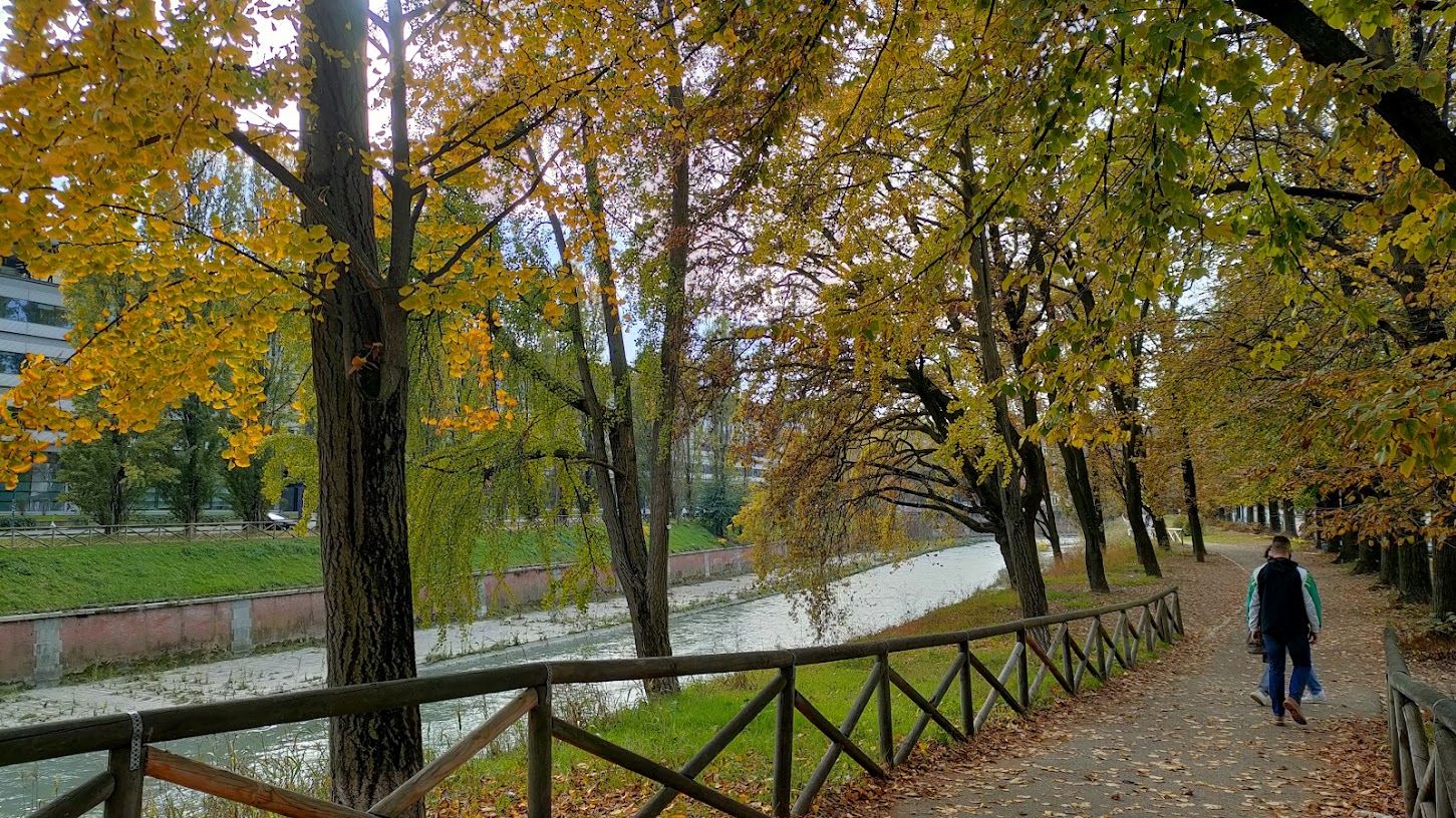 Turin: A Vegan guide to the slow food capital - DELIKAKTUS